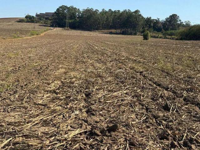 Terreno / Lote para Venda em Piracicaba/SP Santa Terezinha