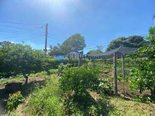 Terreno / Lote para Venda em Piracicaba/SP Parque Peória Tupi