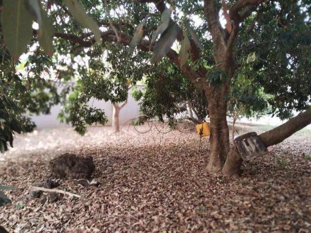 Terreno / Lote para Venda em Piracicaba/SP Parque Santa Cecília