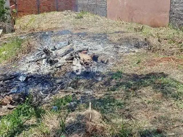 Terreno / Lote para Venda em Piracicaba/SP Vila Sônia