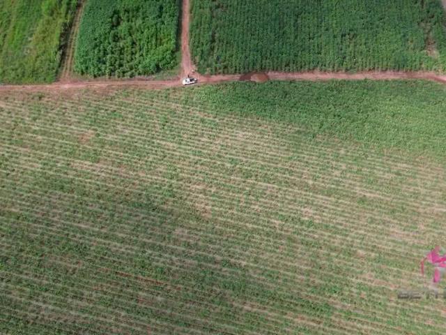 Terreno / Lote para Venda em Pirassununga/SP Área Rural de Pirassununga
