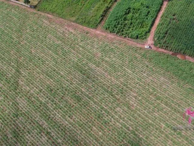 Terreno / Lote para Venda em Pirassununga/SP Área Rural de Pirassununga
