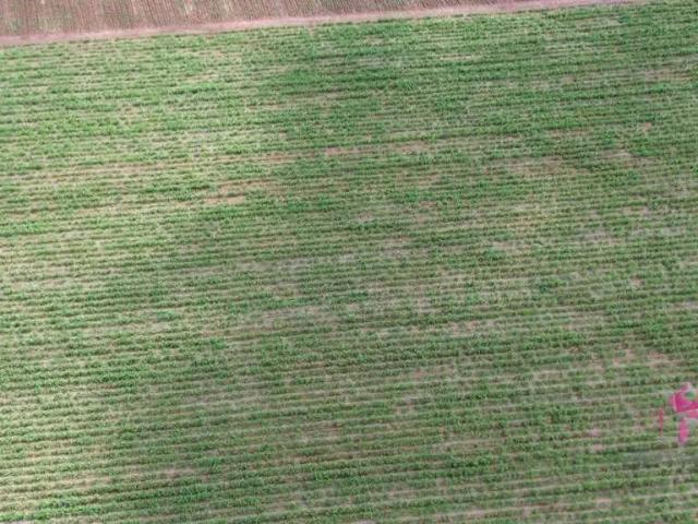 Terreno / Lote para Venda em Pirassununga/SP Área Rural de Pirassununga