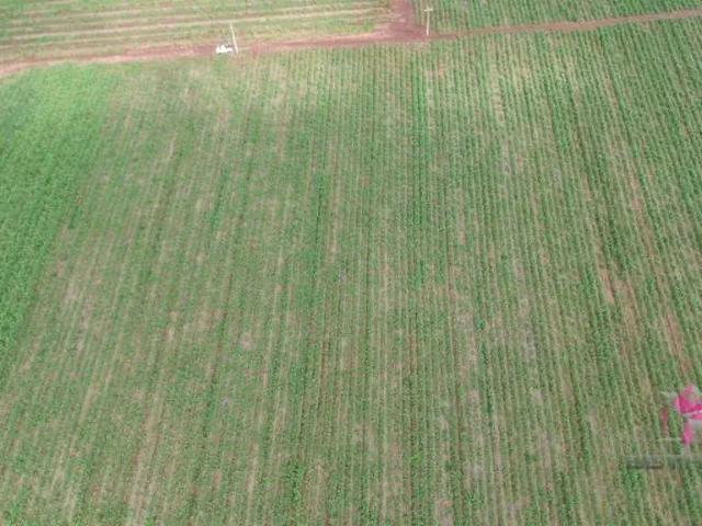 Terreno / Lote para Venda em Pirassununga/SP Área Rural de Pirassununga