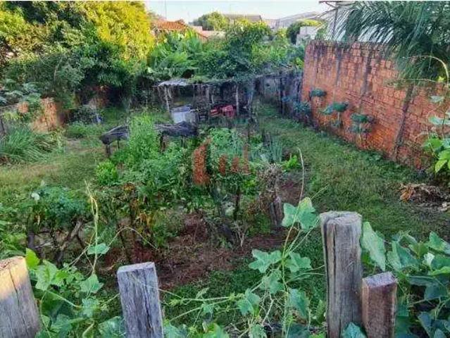 Terreno / Lote para Venda em Pirapozinho/SP Vila Marques