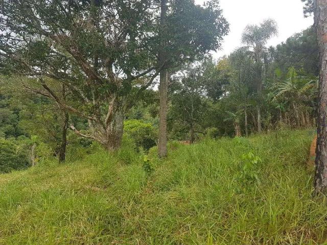 Terreno / Lote para Venda em Pirapora do Bom Jesus/SP Centro