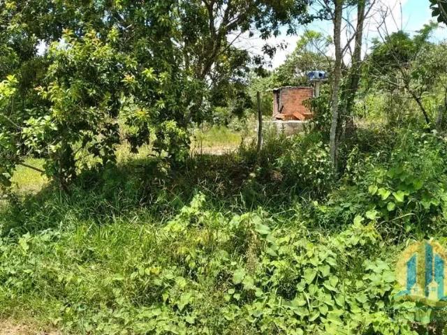 Terreno / Lote para Venda em Pirapora do Bom Jesus/SP Centro
