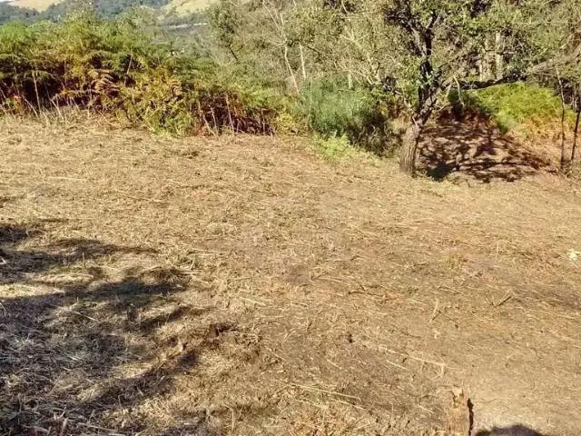 Terreno / Lote para Venda em Pirapora do Bom Jesus/SP Centro