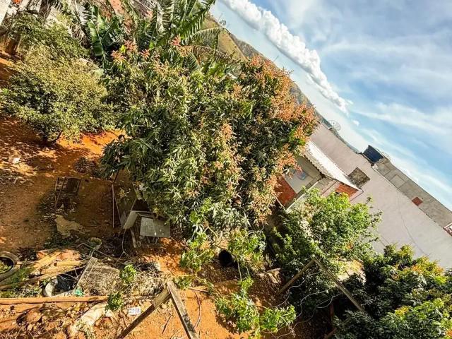 Terreno / Lote para Venda em Pirapora do Bom Jesus/SP Green Hills Residencial