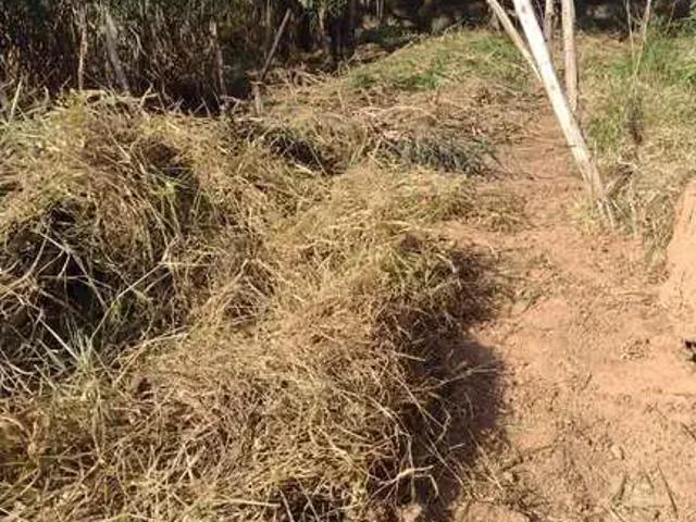 Terreno / Lote para Venda em Pirapora do Bom Jesus/SP Parque Payol II