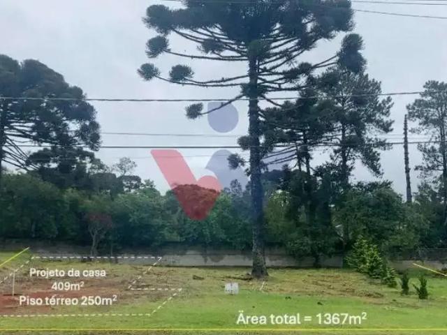 Terreno / Lote para Venda em Piraquara/PR Vila Fuck