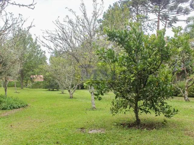 Terreno / Lote para Venda em Piraquara/PR Vila Fuck
