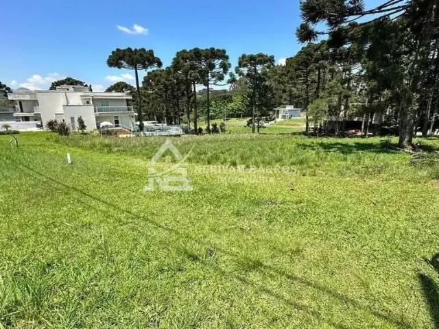 Terreno / Lote para Venda em Piraquara/PR Vila Fuck