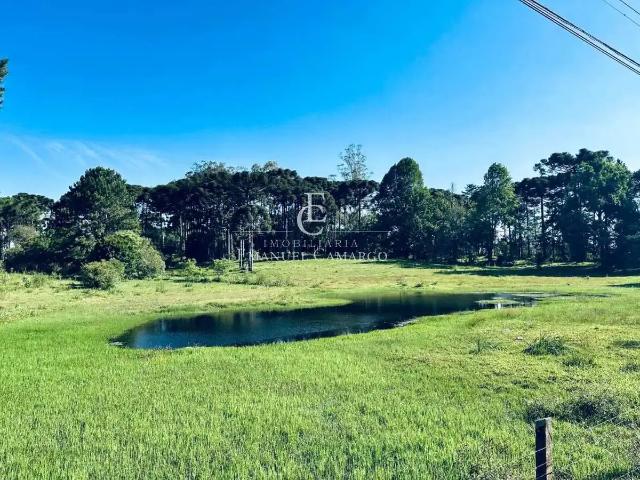 Terreno / Lote para Venda em Piraquara/PR Vila Fuck