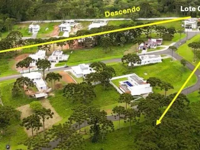 Terreno / Lote para Venda em Piraquara/PR Vila Fuck