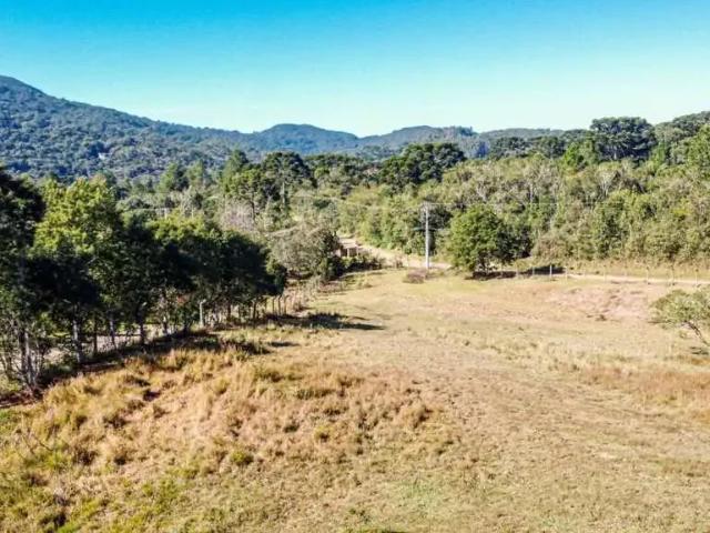 Terreno / Lote para Venda em Piraquara/PR Vila Franca