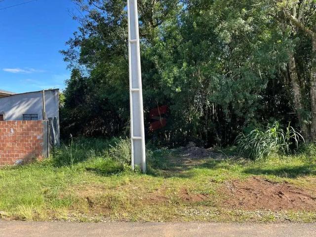 Terreno / Lote para Venda em Piraquara/PR Vila Juliana
