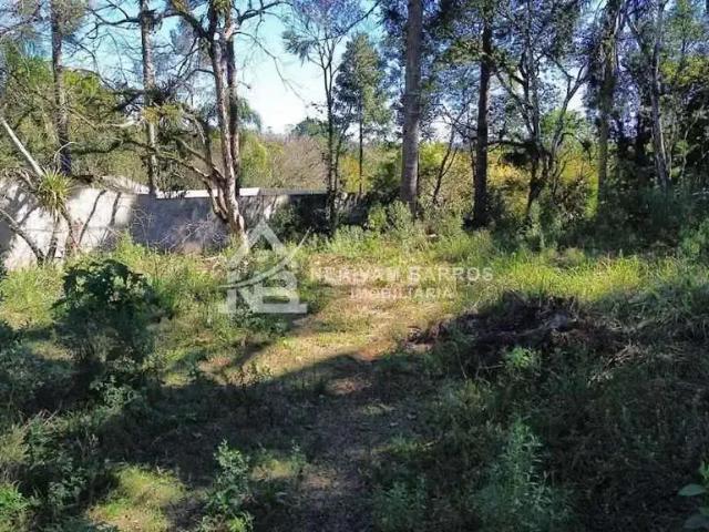 Terreno / Lote para Venda em Piraquara/PR Vila Rosa