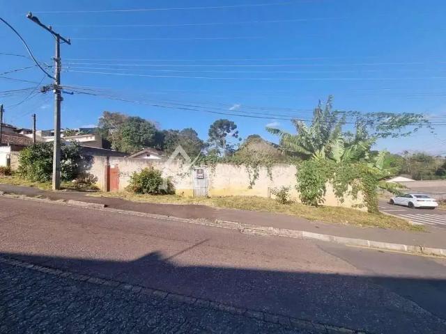 Terreno / Lote para Venda em Piraquara/PR Vila Rosa