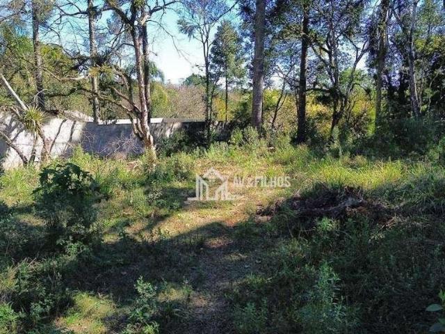 Terreno / Lote para Venda em Piraquara/PR Vila Rosa