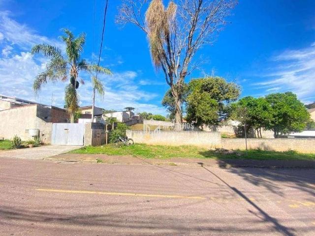 Terreno / Lote para Venda em Piraquara/PR Vila Rosa