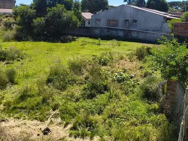 Terreno / Lote para Venda em Piraquara/PR Águas Claras