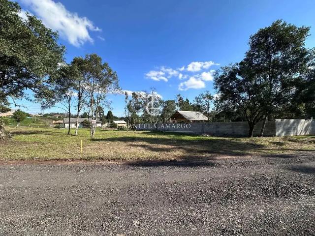 Terreno / Lote para Venda em Piraquara/PR Borda do Campo