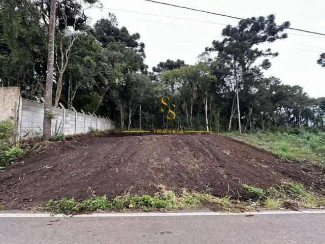 Terreno / Lote para Venda em Piraquara/PR Centro