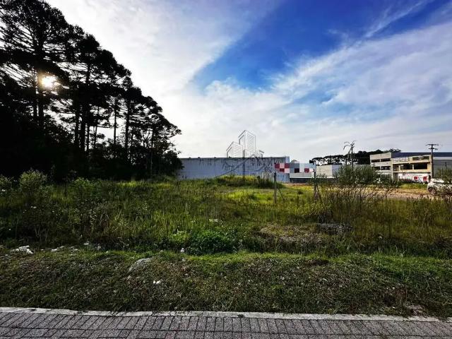 Terreno / Lote para Venda em Piraquara/PR Centro