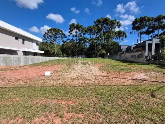Terreno / Lote para Venda em Piraquara/PR Centro