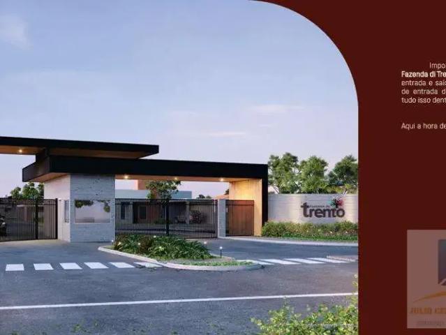 Terreno / Lote para Venda em Piraquara/PR Colônia Santa Maria