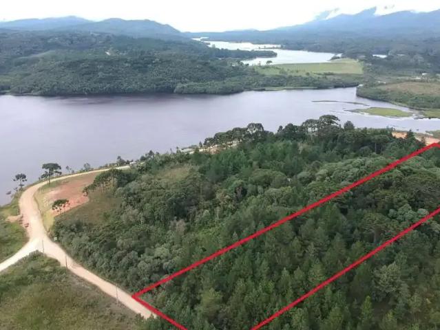 Terreno / Lote para Venda em Piraquara/PR Colônia Santa Maria