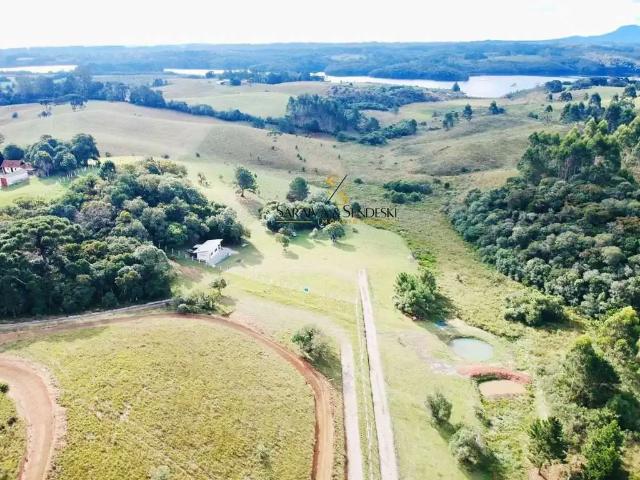 Terreno / Lote para Venda em Piraquara/PR Colônia Santa Maria