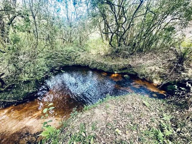 Terreno / Lote para Venda em Piraquara/PR Colônia Santa Maria