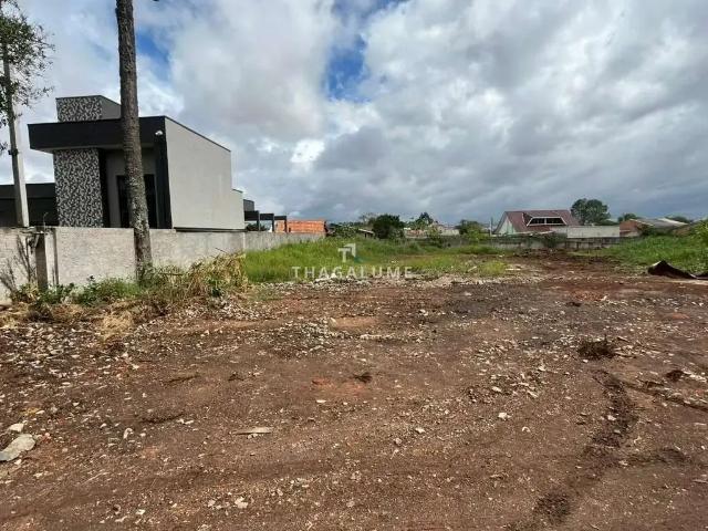 Terreno / Lote para Venda em Piraquara/PR Guarituba
