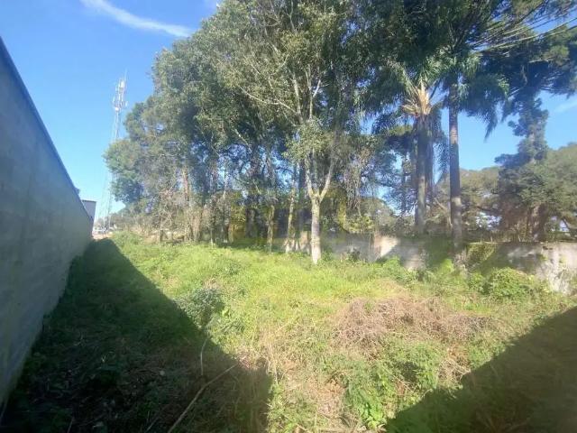 Terreno / Lote para Venda em Piraquara/PR Guarituba