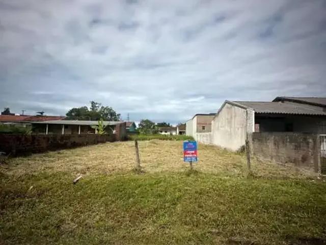Terreno / Lote para Venda em Piraquara/PR Guarituba