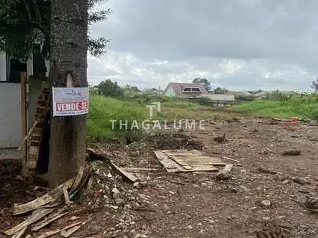 Terreno / Lote para Venda em Piraquara/PR Guarituba