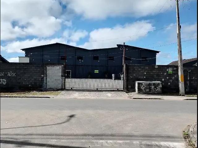 Terreno / Lote para Venda em Piraquara/PR Guarituba