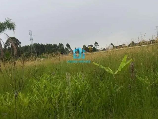 Terreno / Lote para Venda em Piraquara/PR Jardim dos Estados 2