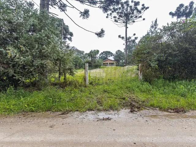 Terreno / Lote para Venda em Piraquara/PR Jardim Primavera