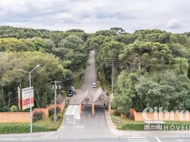 Terreno / Lote para Venda em Piraquara/PR Jardim Primavera