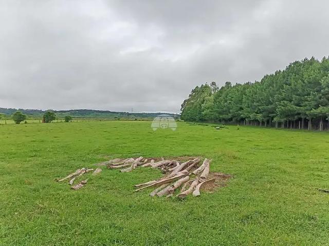Terreno / Lote para Venda em Piraquara/PR Parque das Araucárias