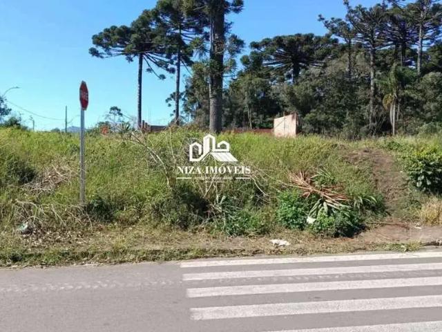 Terreno / Lote para Venda em Piraquara/PR Planta Araçatuba