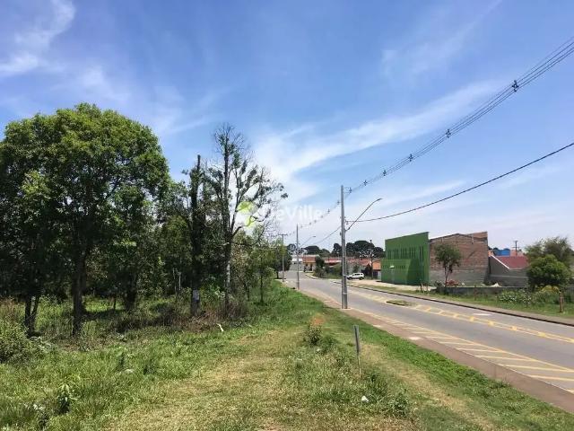 Terreno / Lote para Venda em Piraquara/PR Planta Araçatuba