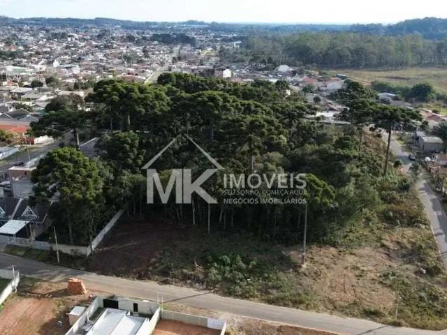 Terreno / Lote para Venda em Piraquara/PR Planta Araçatuba