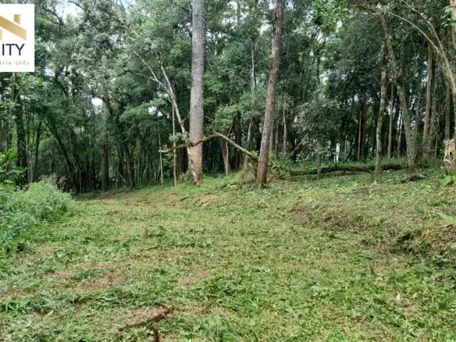 Terreno / Lote para Venda em Piraquara/PR Planta Granjas Eldorado