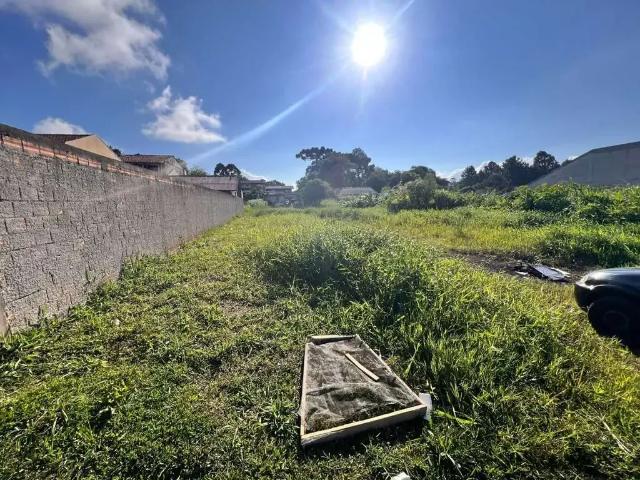 Terreno / Lote para Venda em Piraquara/PR Planta Deodoro