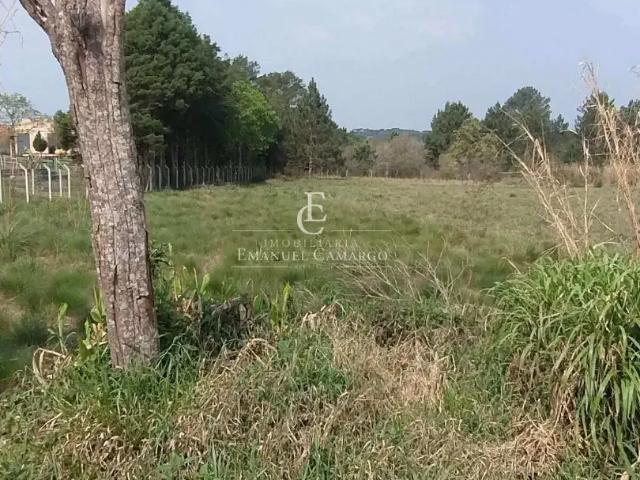 Terreno / Lote para Venda em Piraquara/PR Planta Deodoro
