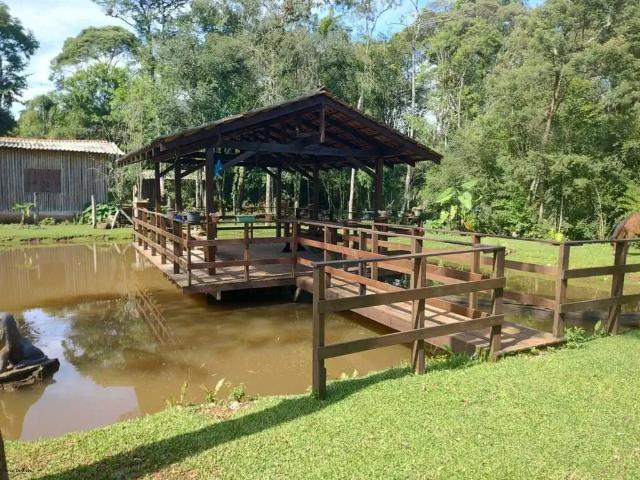 Terreno / Lote para Venda em Piraquara/PR Planta Laranjeiras
